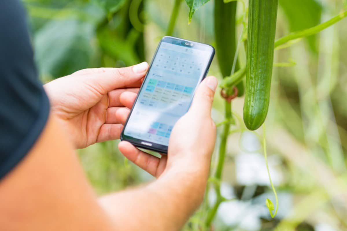 Priva Connected віддалене керування теплицею